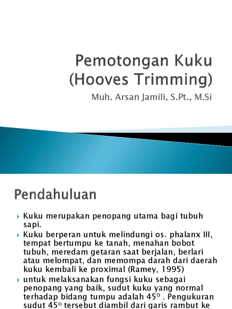 Anatomi dan Fungsi Kuku Sapi | PDF