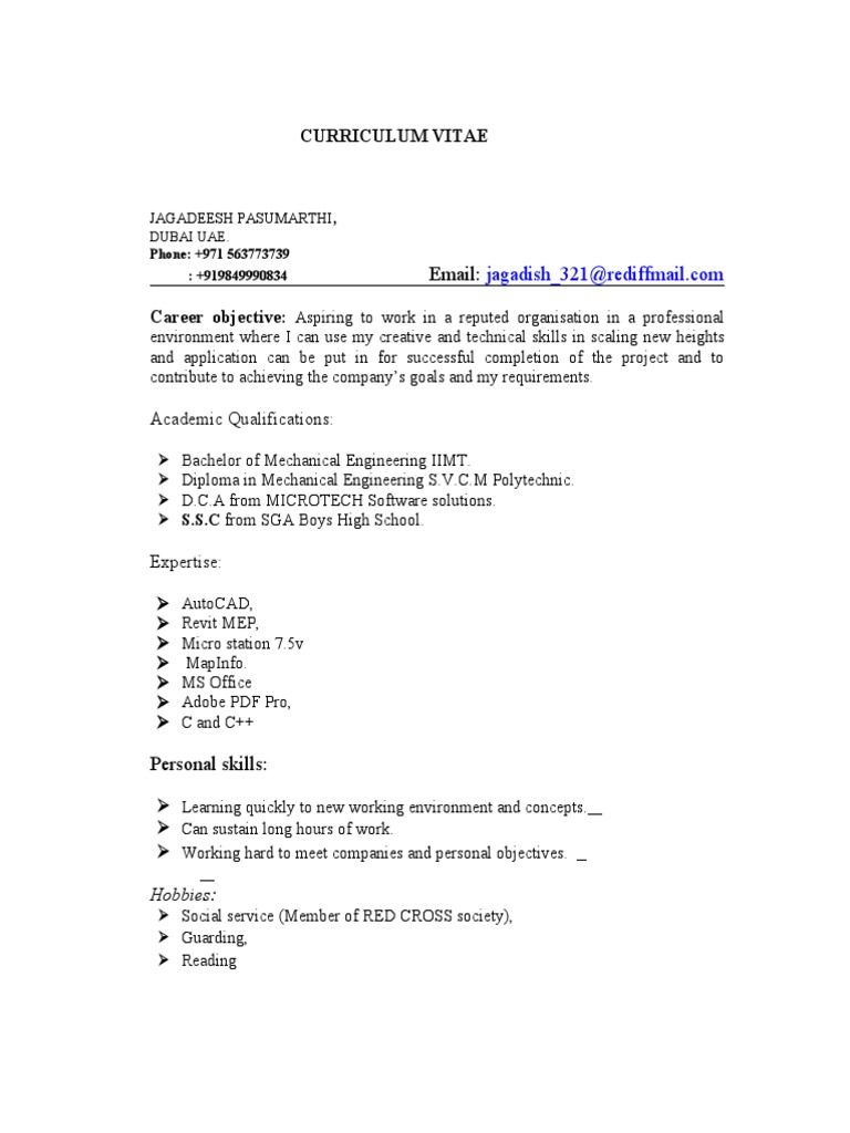 Engineer's Professional Profile | PDF | Autodesk Revit | Geographic ...