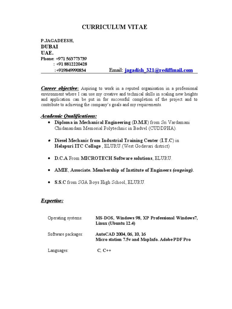 Curriculum Vitae: Dubai Uae | PDF | Geographic Information System | Dubai