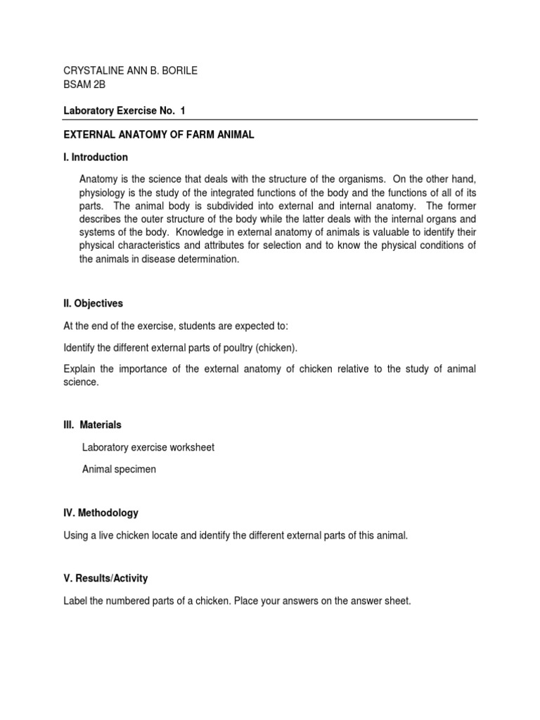 External Anatomy of Farm Animals | PDF | Cattle | Chicken
