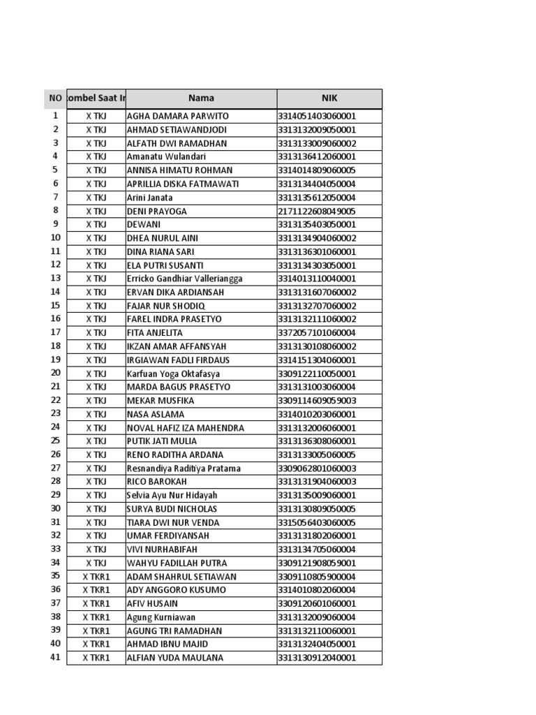 Data Input Pdf 