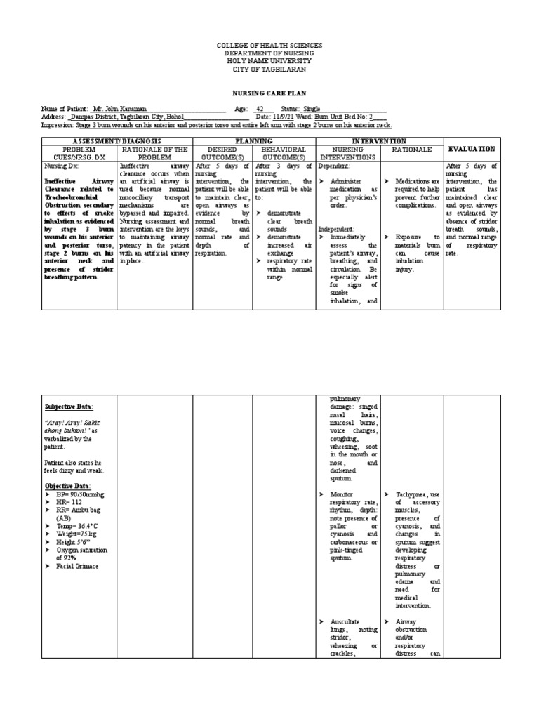 NCP, Drug Study | PDF | Respiratory System | Clinical Medicine