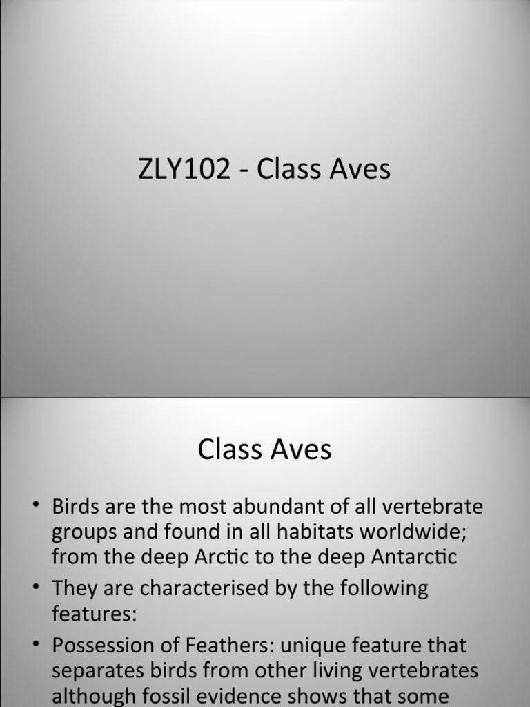 Class Aves-2-1 | PDF | Birds | Feather