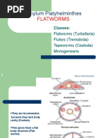 1687761495.6. Type of Cercariae With Examples | PDF | Zoology