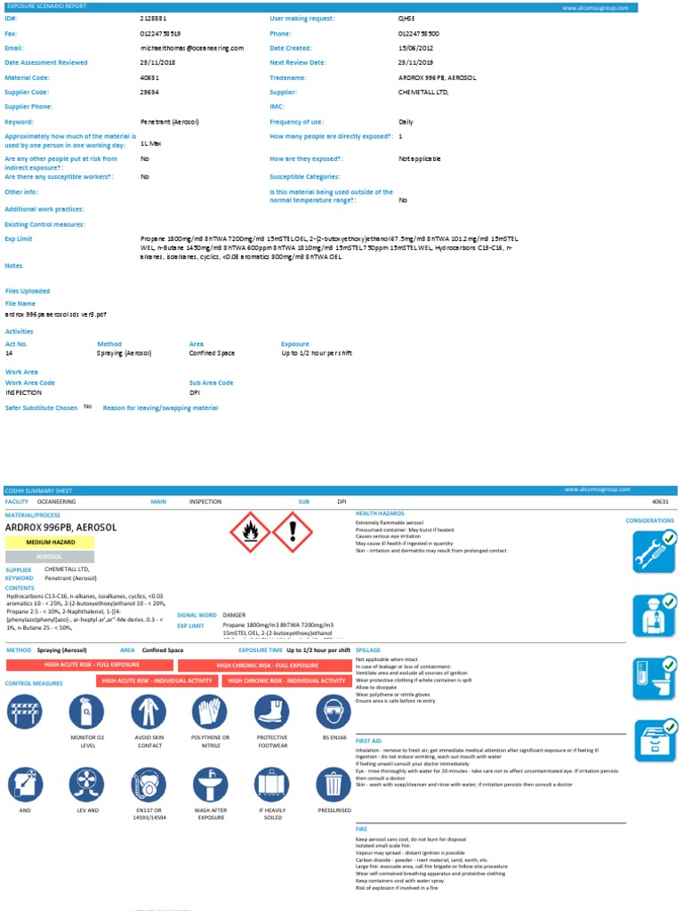 Assessment (Exposure Scenario) | PDF | Risk | Safety