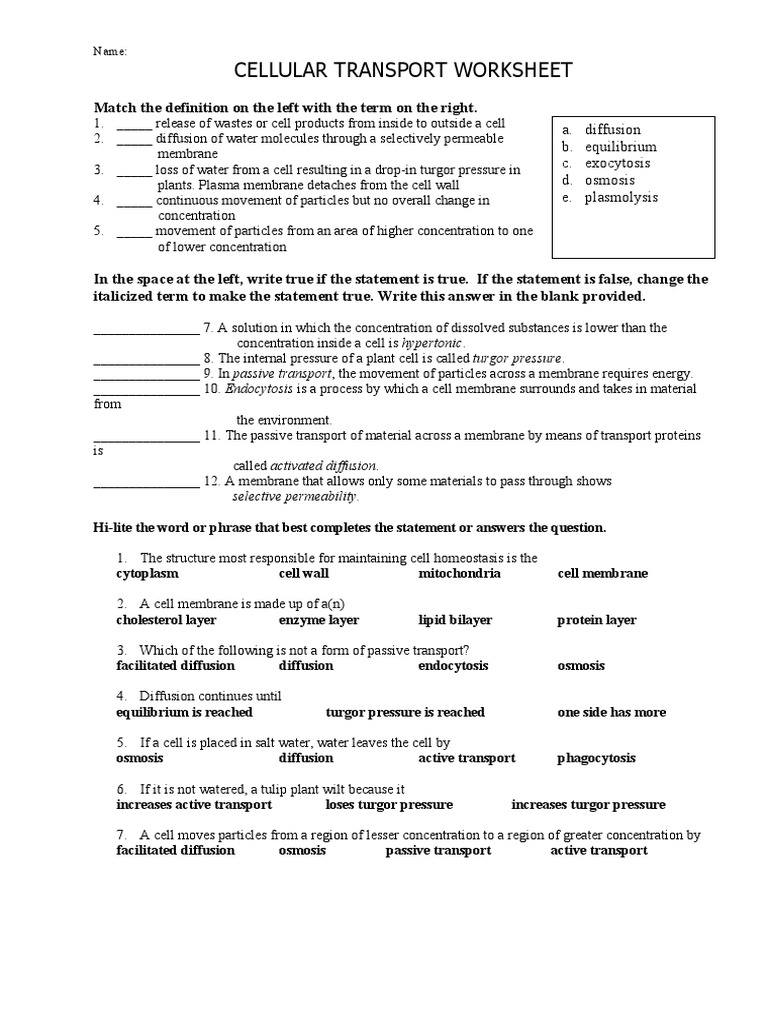 Cellular Transport Worksheet Section A Cell Membrane Structure Key