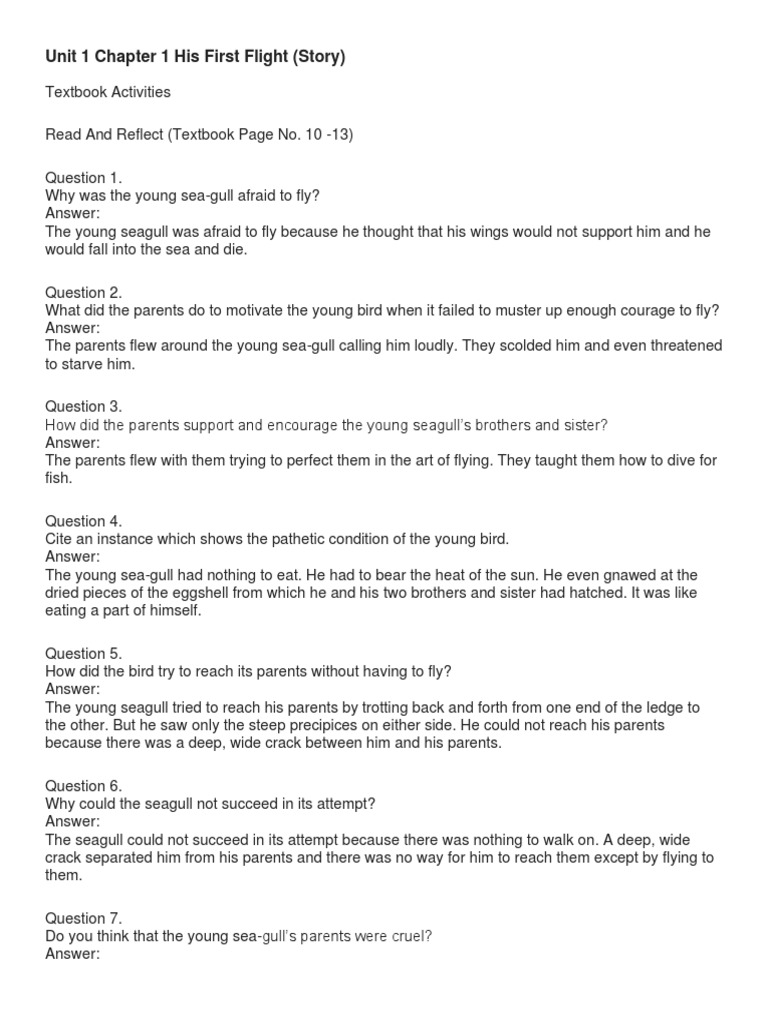 Unit 1 Chapter 1 His First Flight (Story) | PDF | Birds