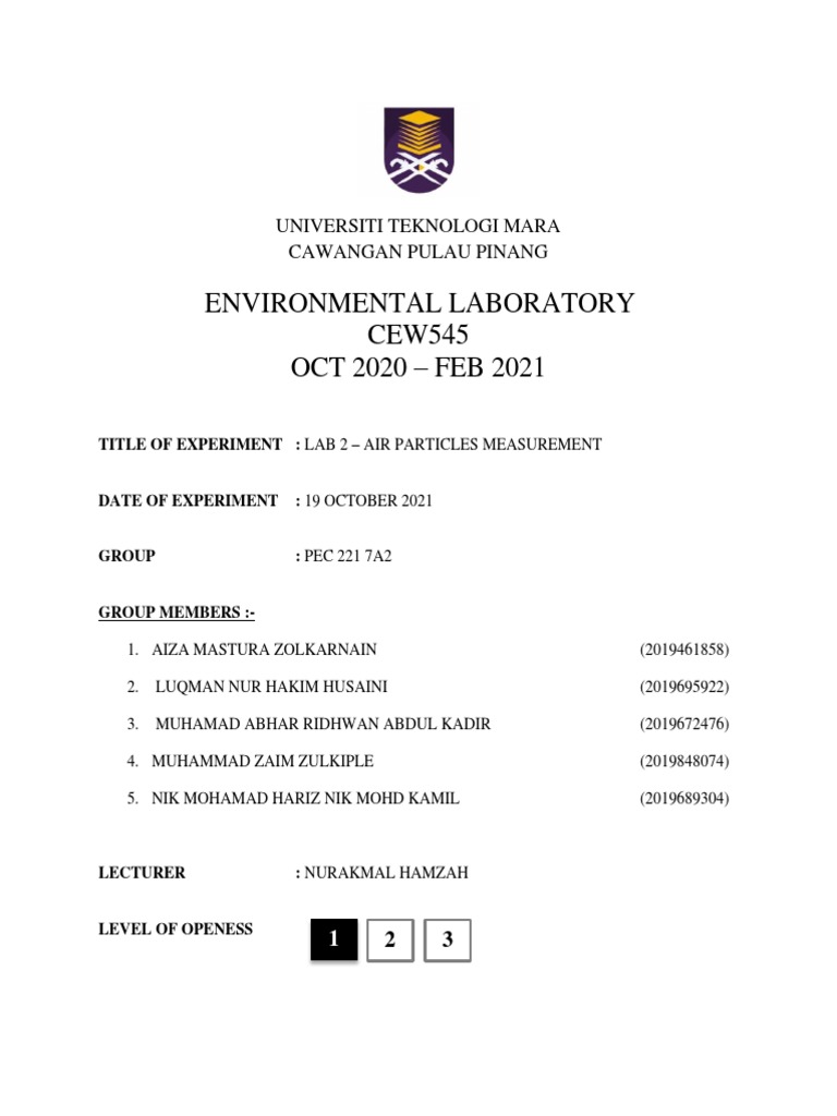 Air Particles Measurement Lab Report | PDF | Particulates | Air Pollution