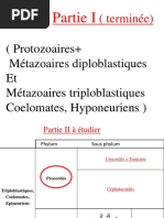 Cours 2-La Paroi Pectocellulosique PDF | PDF | Paroi cellulaire | Lignine
