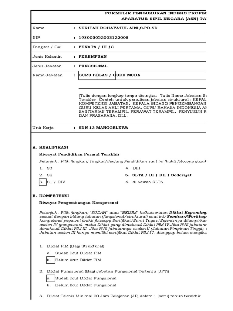 Instrumen Pengisian Form Pip Asn 2021 | PDF