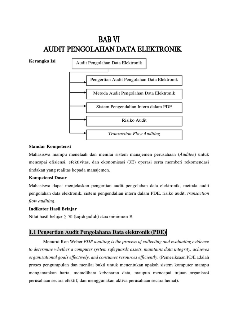 POST-Topik6AuditPengolahandataelektronik-c534 | PDF