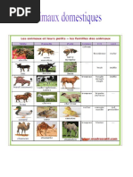 Mon animal préféré : chat et chien | PDF | Livres de cuisine ...