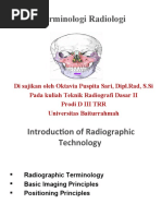 Scottie Dog Sign | PDF | Vertebra | Skeletal System