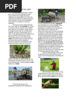 Section Officer Question Set 1 | PDF