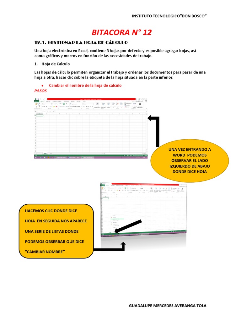 Bitacora N 12 | PDF | Hoja de cálculo | Microsoft Excel