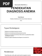 Anemia Normositik Normokrom: Definisi, Etiologi, dan Patogenesis | PDF