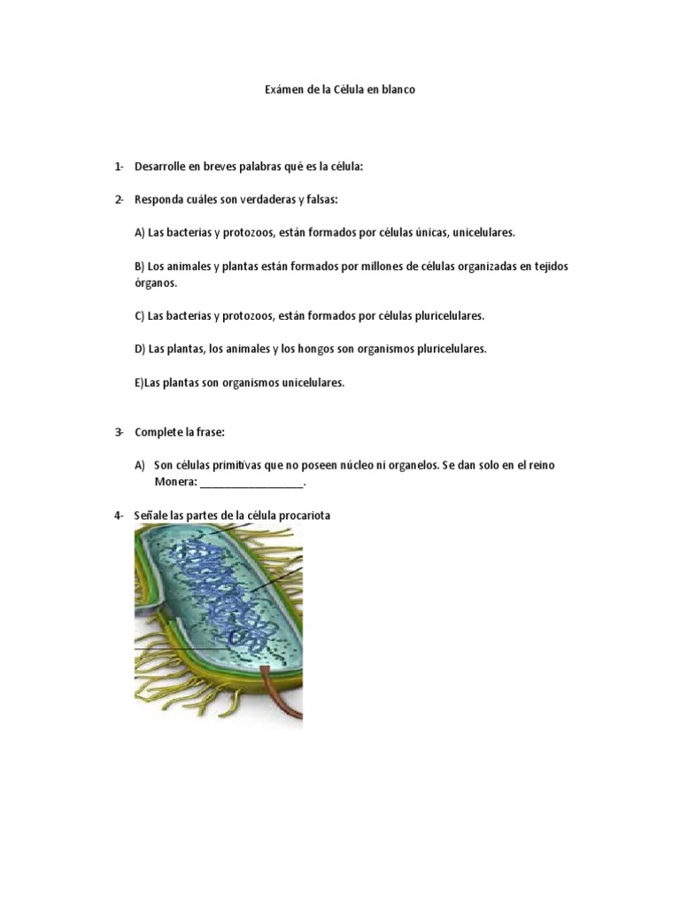 Examen sobre la Célula: Estructura y Funciones | PDF | Citoplasma ...