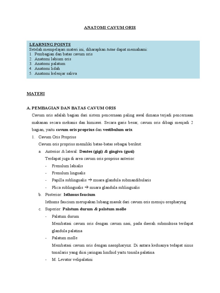 Anatomi Cavum Oris | PDF