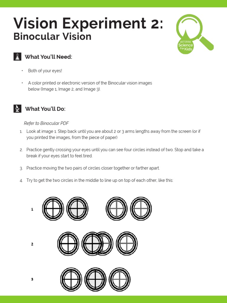 Vision Experiment 2 | PDF