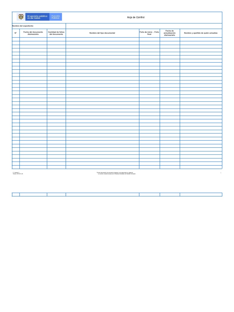 Formato Hoja Control | PDF | Informática | Software