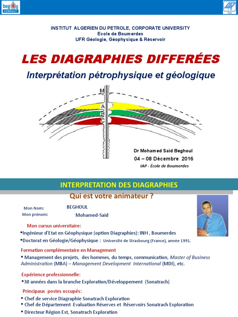 Interpretation Petrophysique Et Geologique Des Diagraphies | PDF ...