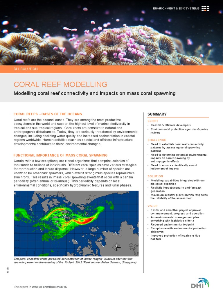 Coral Reef Modelling DHI Solution | PDF | Coral Reef | Coral