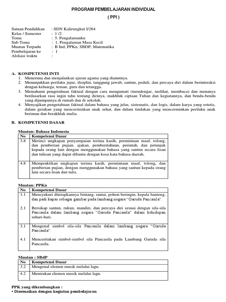 Ppi Tunagrahita | PDF