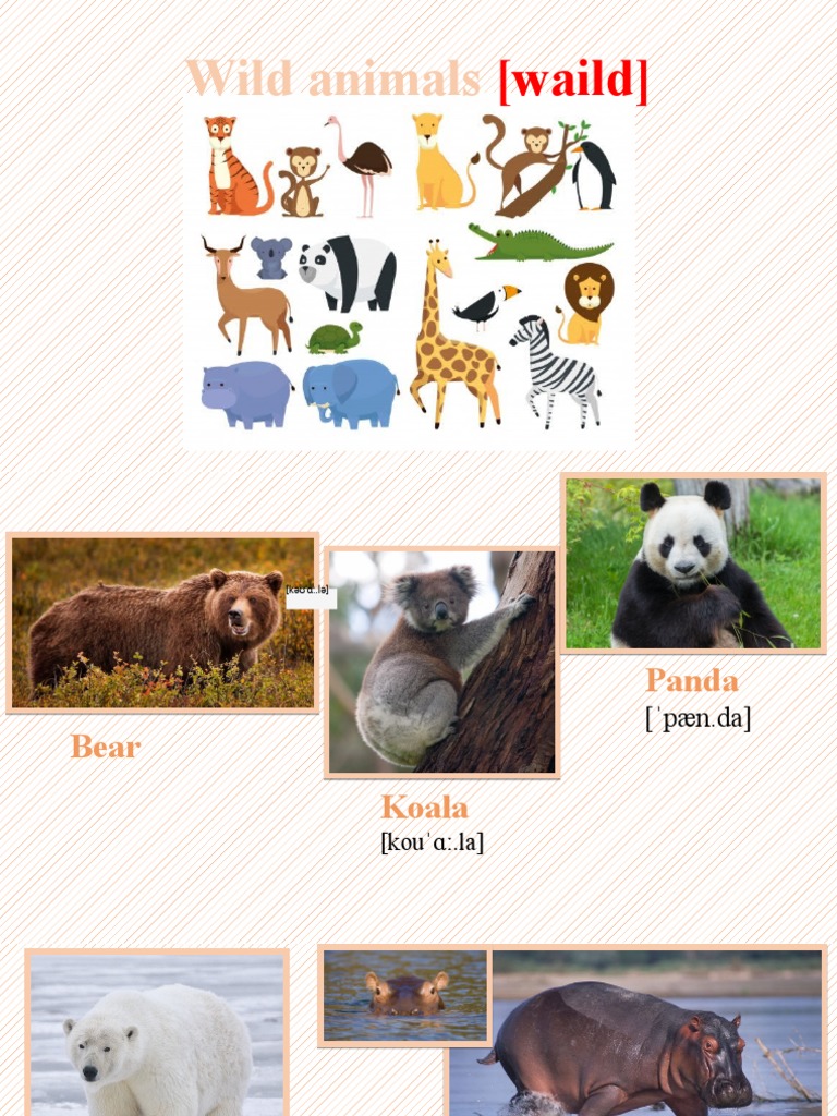 Wild Animals | PDF