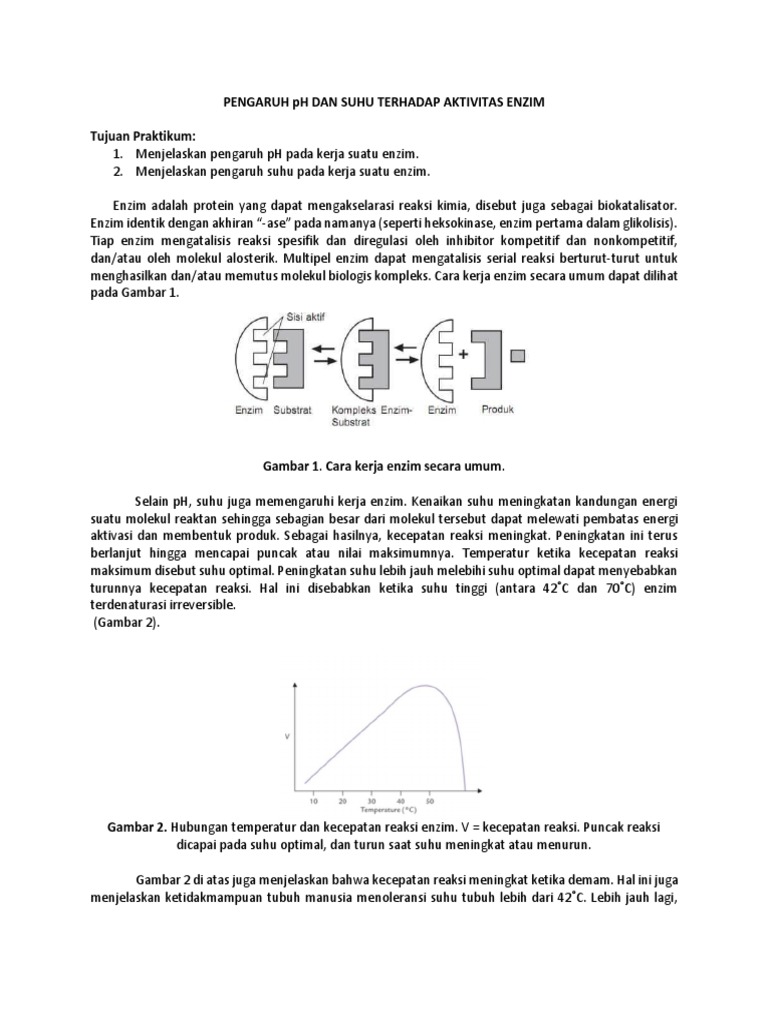 Panduan Praktikum Enzim Ptialin | PDF