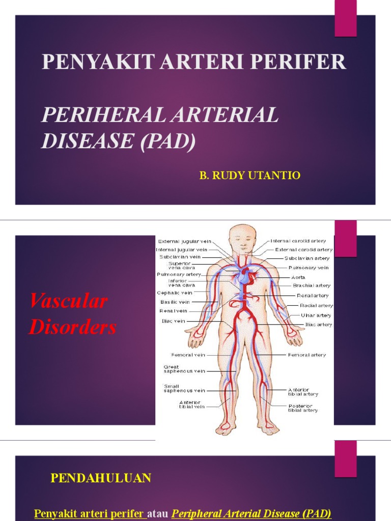 Patofisiologi Penyakit Arteri Perifer | PDF