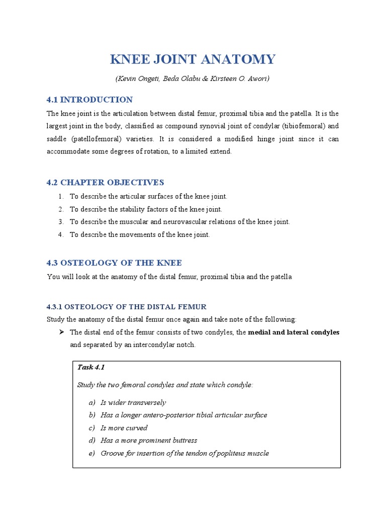 Knee Joint Anatomy Manual | PDF | Knee | Lower Limb Anatomy
