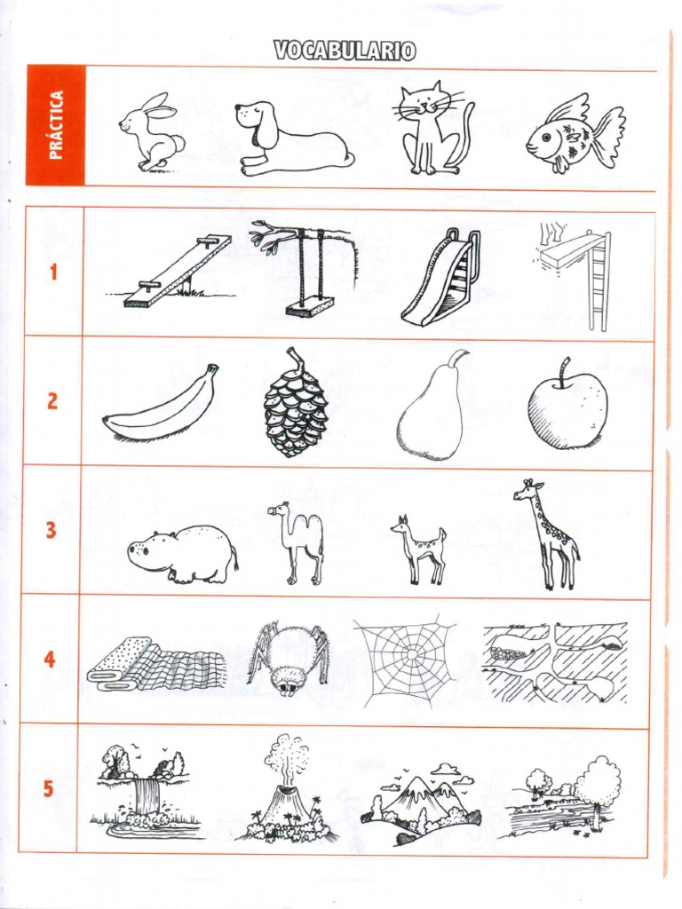 Cuadernillo de Trabajo para El Niño DST-J | PDF