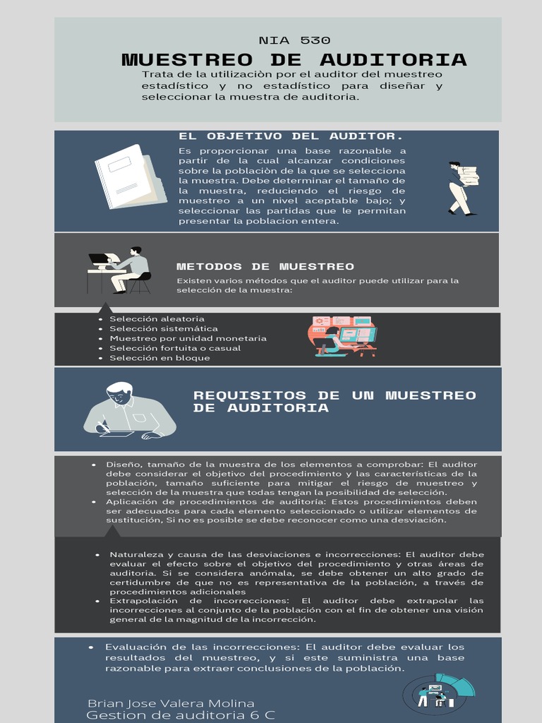 Infografia NIA 530 | PDF
