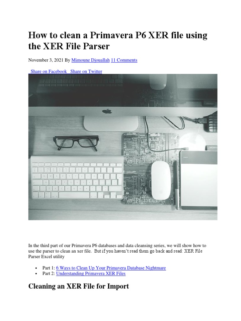 How To Clean A Primavera P6 XER File Using The XER File Parser 4 | PDF ...