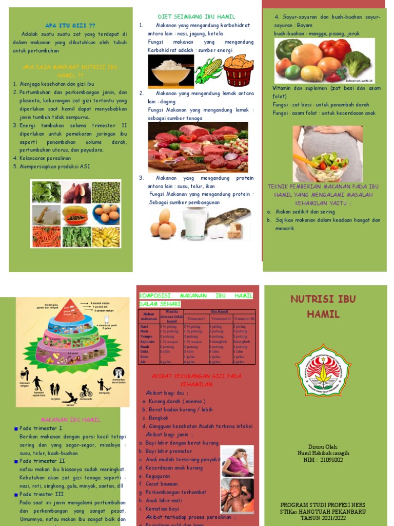 Leaflet Gizi Ibu Hamil | PDF