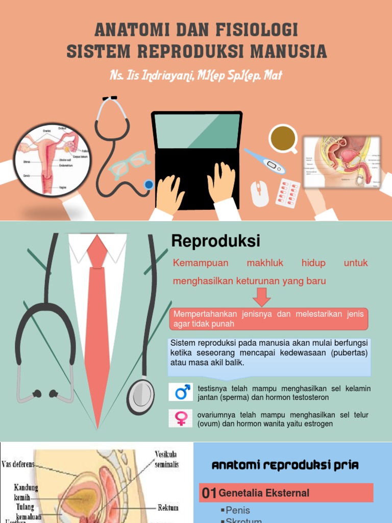 Anatomi Dan Fisiologi Sistem Reproduksi Manusia | PDF
