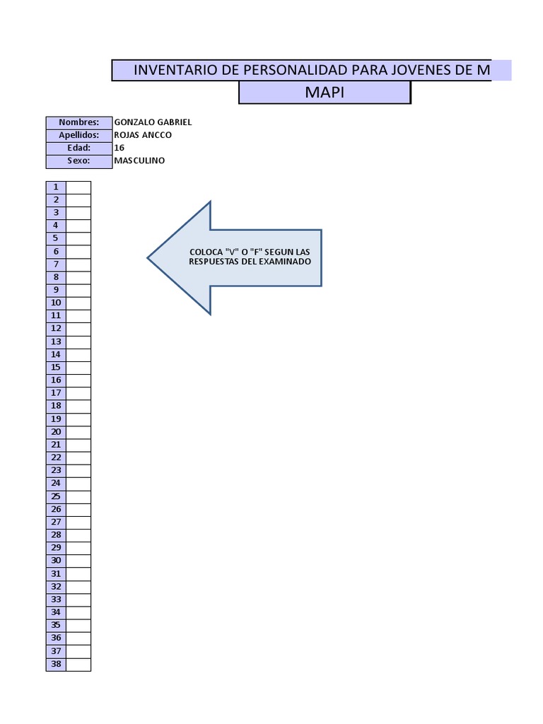 Test Mapi Digitalizado | PDF | Microsoft Excel | Software propietario
