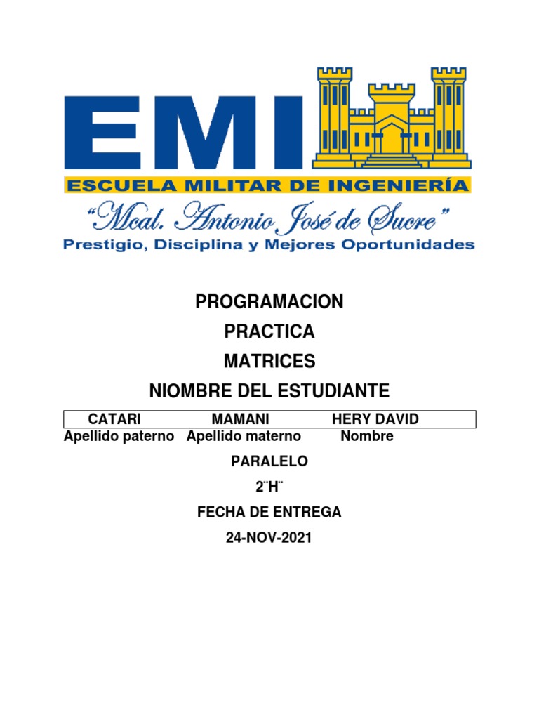 Programacion Practica Matrices | PDF