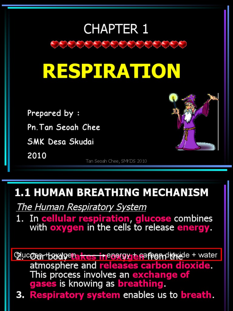 Respiration: Prepared By: PN - Tan Seoah Chee SMK Desa Skudai 2010 ...