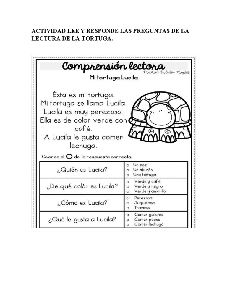 Actividad de Lectura: Tortuga y Preguntas | PDF