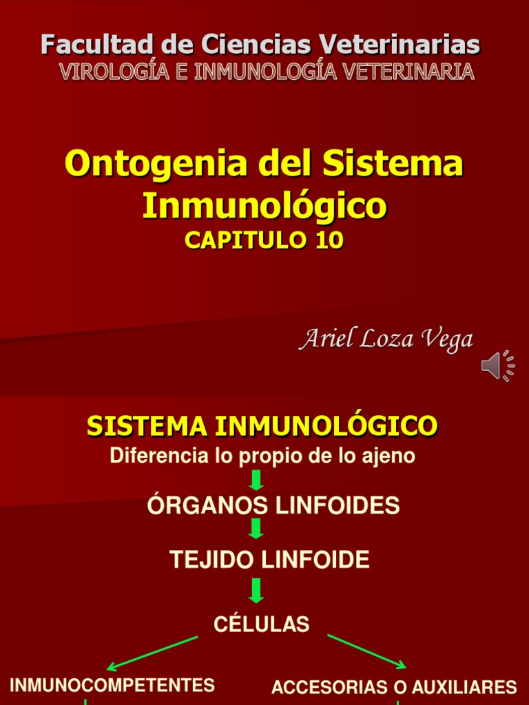 Ontogenia Del Sistema Inmune (4) | PDF | Linfocitos | Sistema linfático