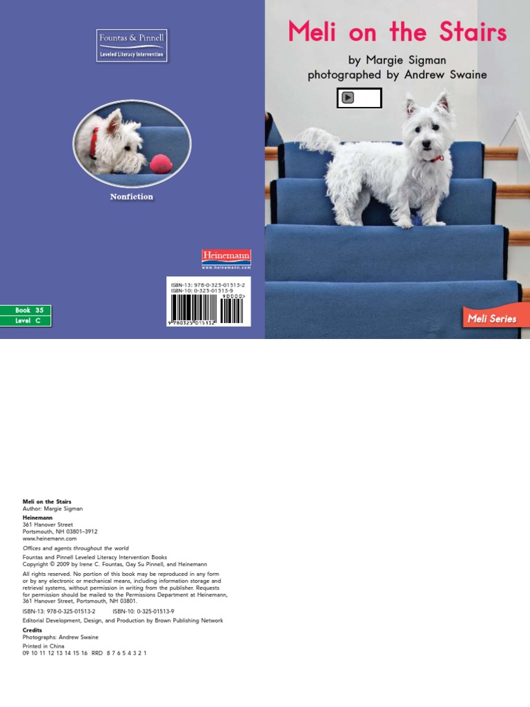 035 Meli On The Stairs | PDF | Intellectual Property Law | Media Freedom