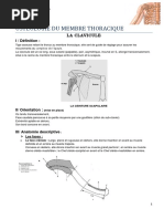 Mouvements de l'Épaule et du Bras | PDF