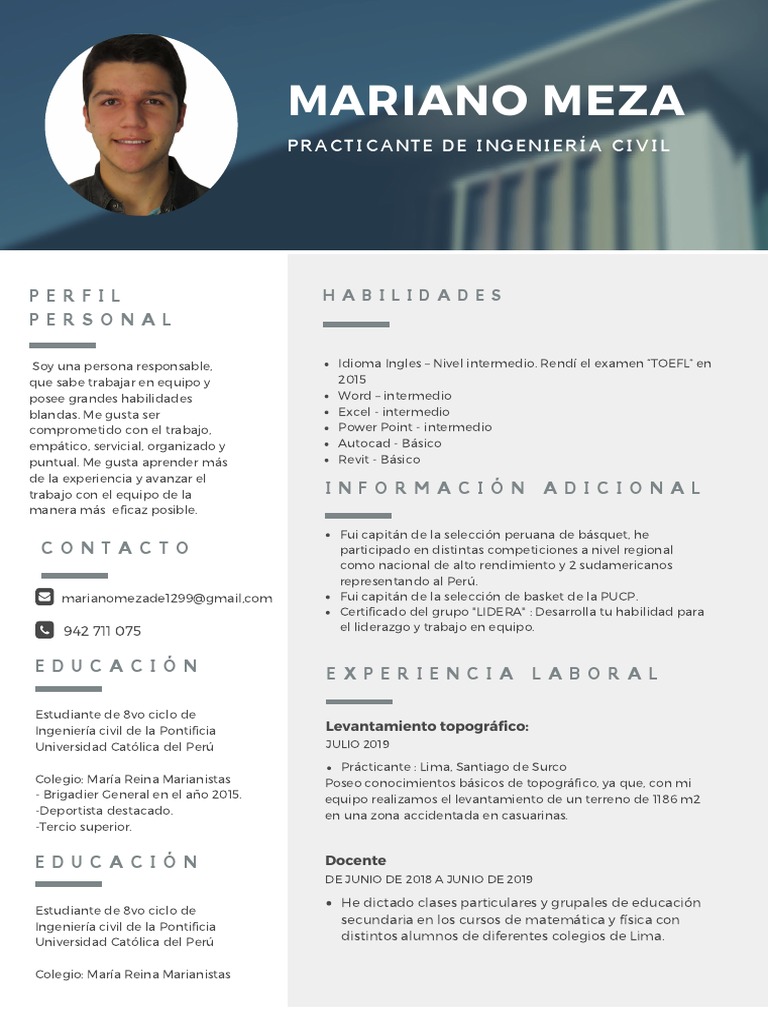 Perfil de Practicante de Ingeniería Civil | PDF