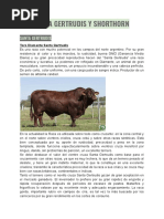 Ficha Técnica Del Pasto Imperial (Axonopus Scoparius, Hitchc) | PDF ...