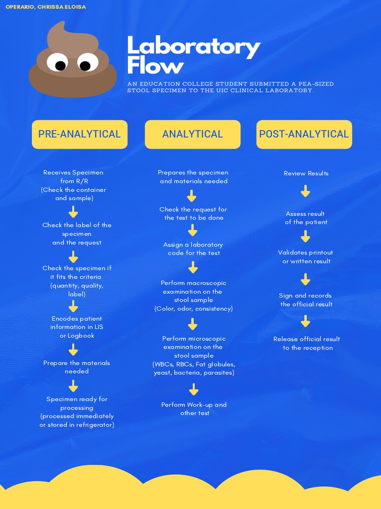 Laboratory Flow: Pre-Analytical Analytical Post-Analytical | PDF ...