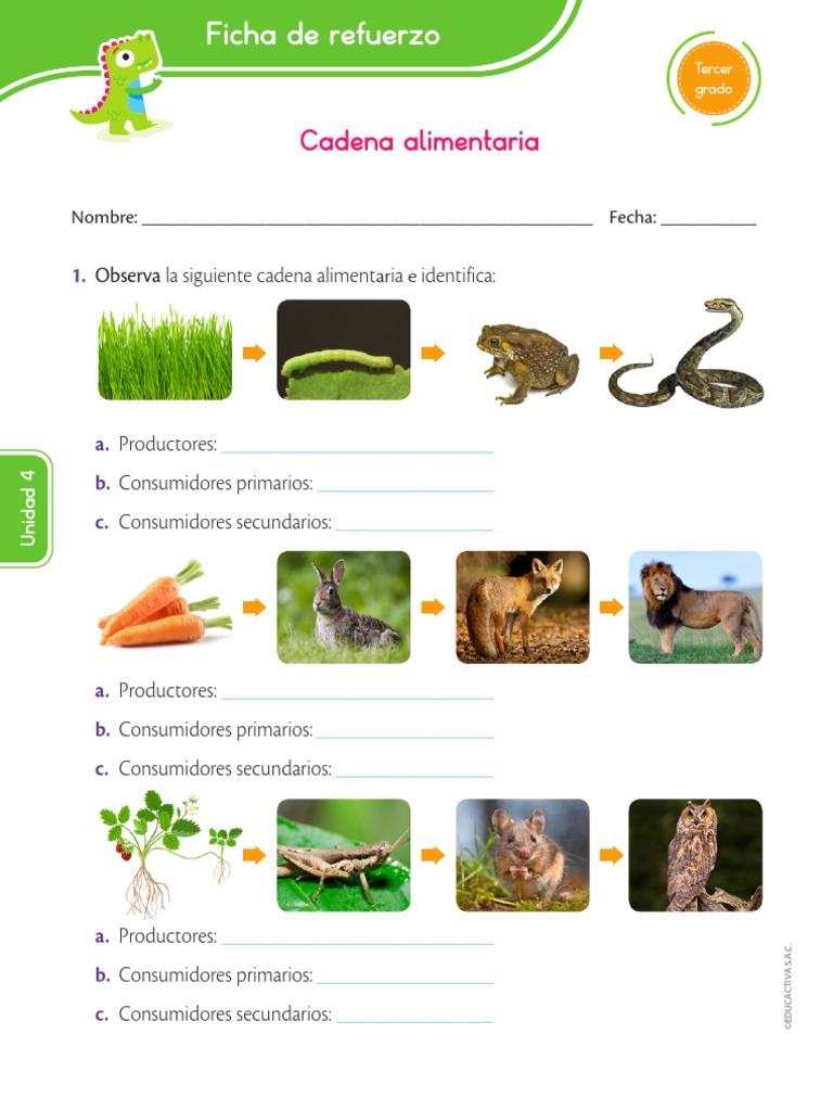 Cadena Alimenticia | PDF