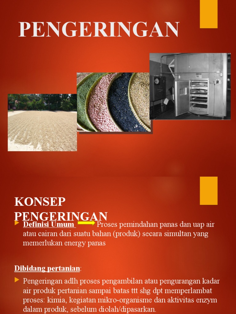 Panduan Lengkap Proses Pengeringan | PDF | Teknologi & Rekayasa