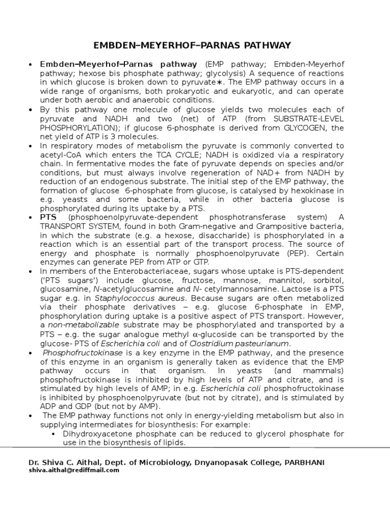 Embden Mayerhof Paranas Pathway | PDF | Glycolysis | Metabolic Pathway