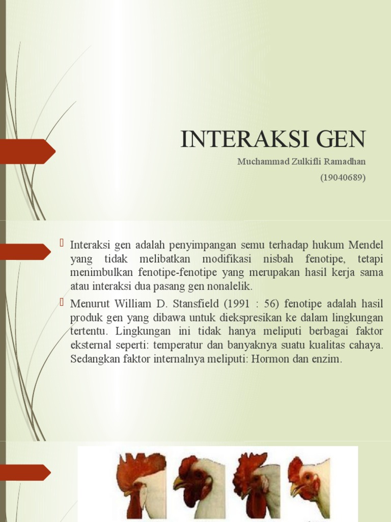 Interaksi Gen | PDF